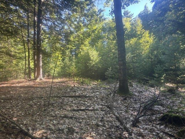 Map5/ Bangor Rd Lot 53, Troy, ME 04987