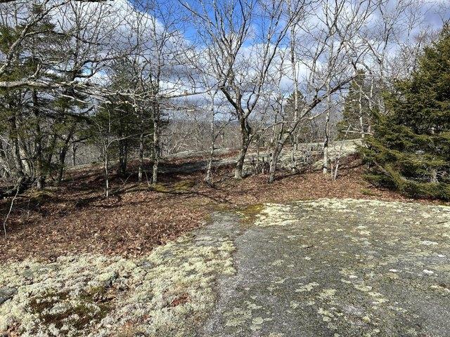 Map8lot6 Cp, Prospect, ME 04981
