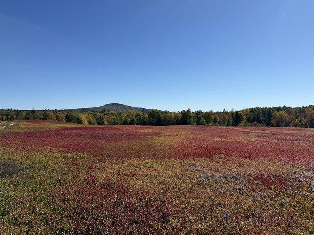 Map31lot29 Land Perkins, Blue Hill, ME 04614