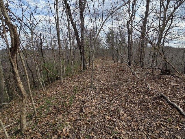 Map 105 03 D St, Louisa, KY 41230