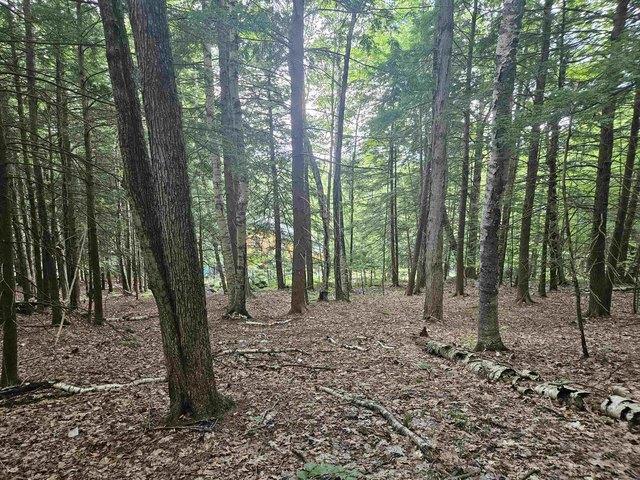 Map 132 Arrowhead Ln Lot 115, Gilmanton, NH 03237