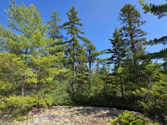 Map 1 Patten Rd Lot 10 2, Jonesboro, ME 04648