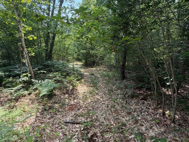 Map 206 Lot 28 Whittier Road