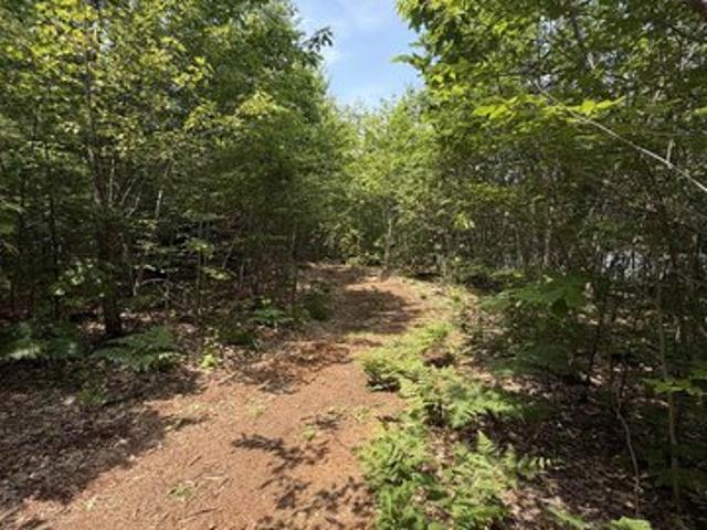 Map 206 Whittier Rd Lot 28, Tamworth, NH 03890
