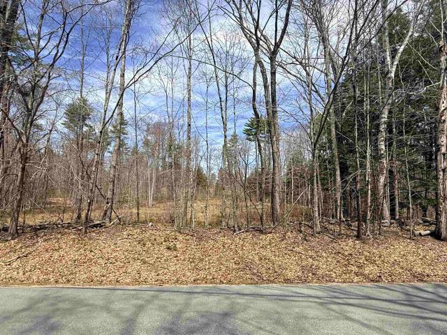 Map 208 Lot 8 2 Baptist Hill Road