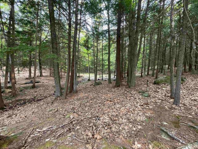 Map 212, Lot 49 Durrell Mountain Road