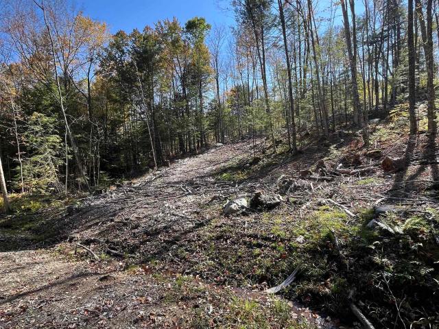Map 227 Lot 010 Underwood Road