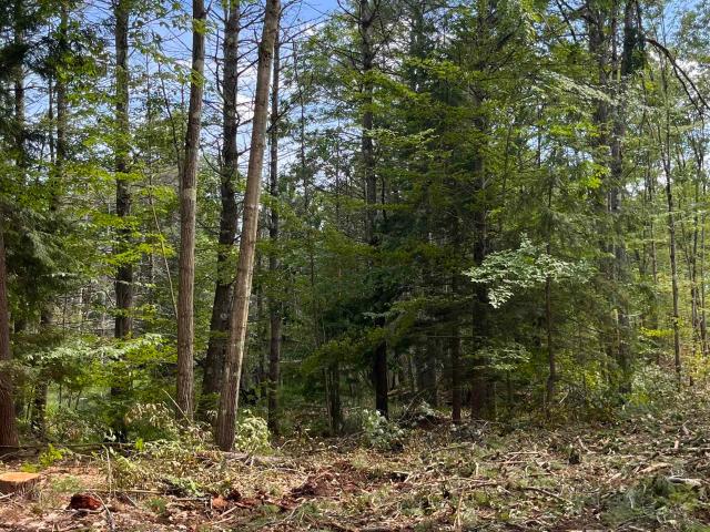 Map 242 Lot 6 Columbus Jordan Road