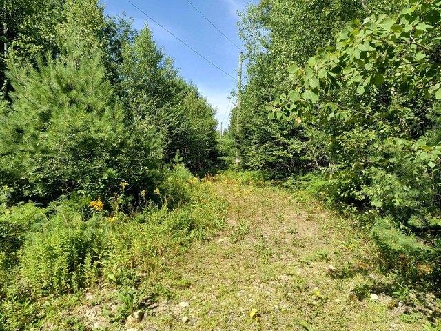 Map 7 5 Jaffrey Rd Lot 33, Marlborough, NH 03455
