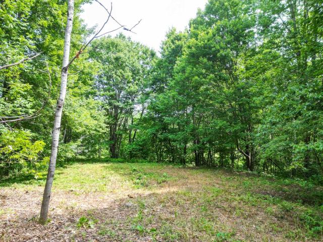Map 401 Lot 18. Washington Hill Road
