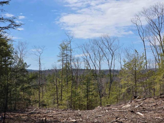 Map 417 Lot 51 Shannon Road