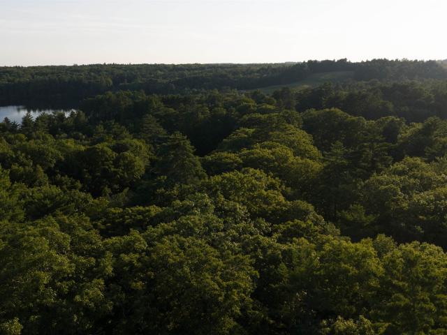 Map 5 Lot 13 3 Coles Ledge Road