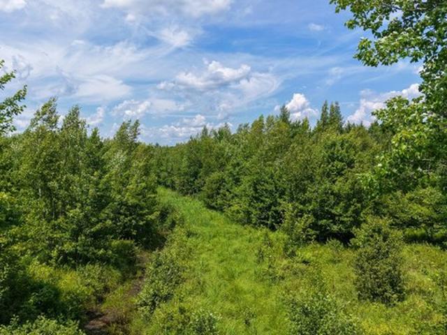 Map 8 1 Lot 40 5, Detroit, ME 04929