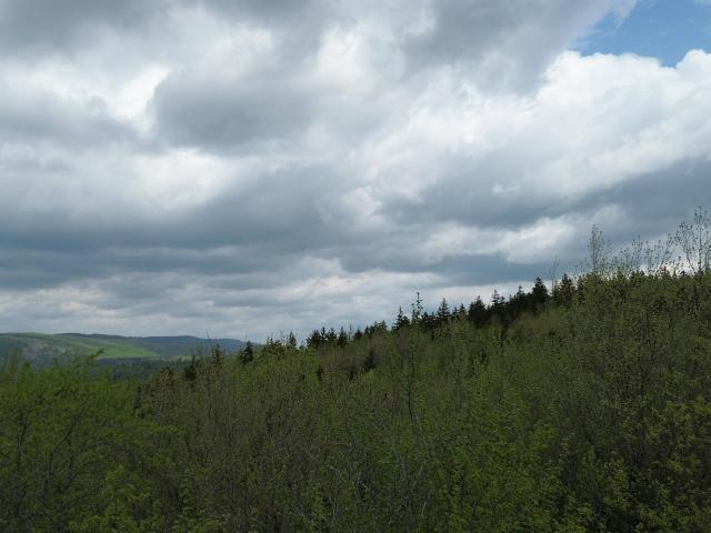 Map 8 Lot 29 Martin Road