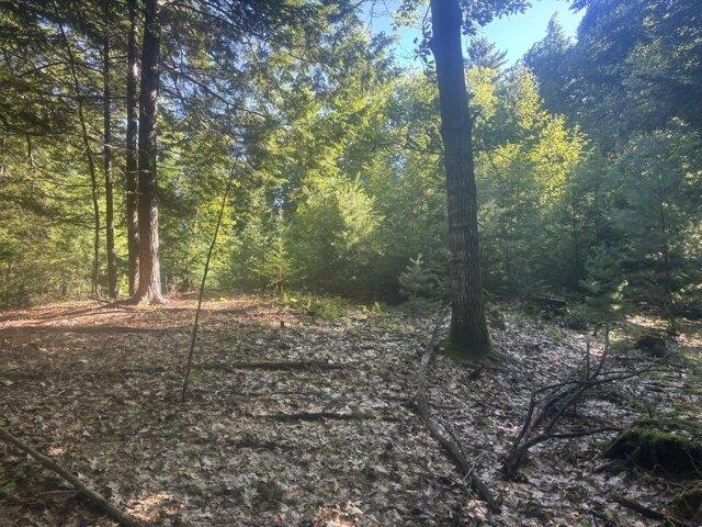 Map/ Bangor Rd Lot,troy, Plot For Sale