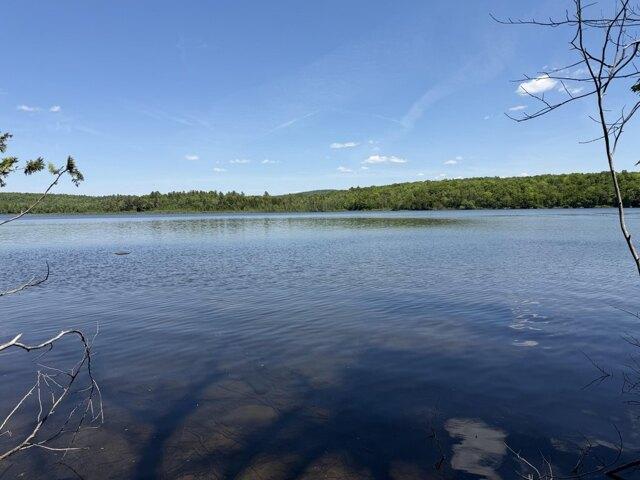 Map Bear Ln Lot,dexter, Plot For Sale