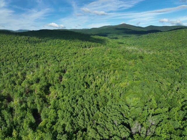 Map Dow Brook Rd Lot,peru, Plot For Sale