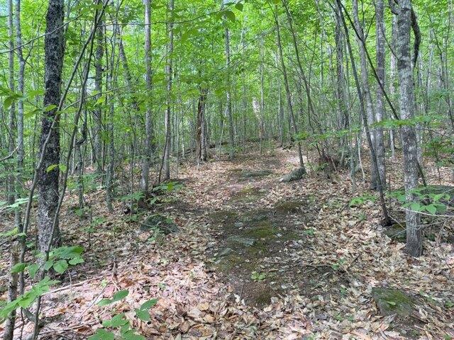 Map Fr Plan Lot,washington, Plot For Sale
