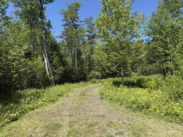 Map Iron Tree St Lot, South Thomaston, Plot For Sale