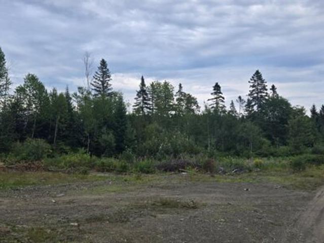 Map Lot,madawaska, Plot For Sale