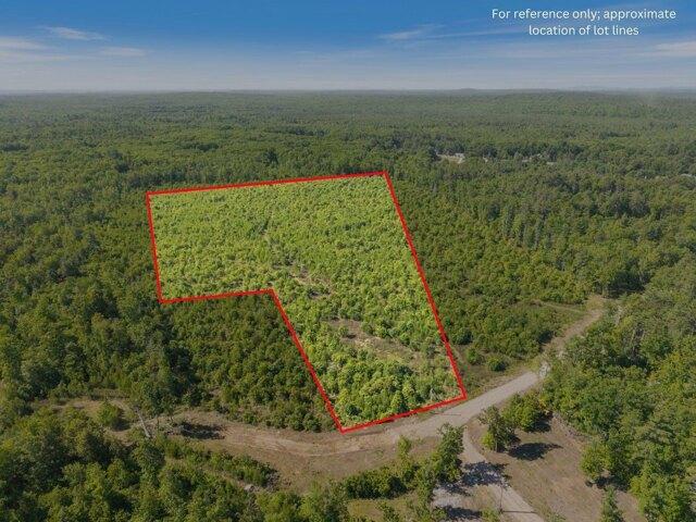 Map Lot And #, Hollis Center, Plot For Sale