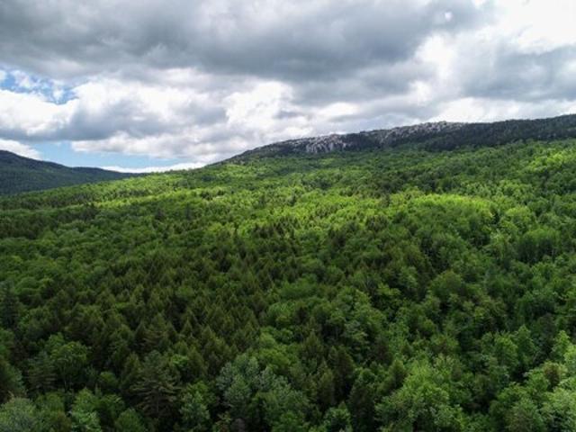 Map Lot,rumford, Plot For Sale