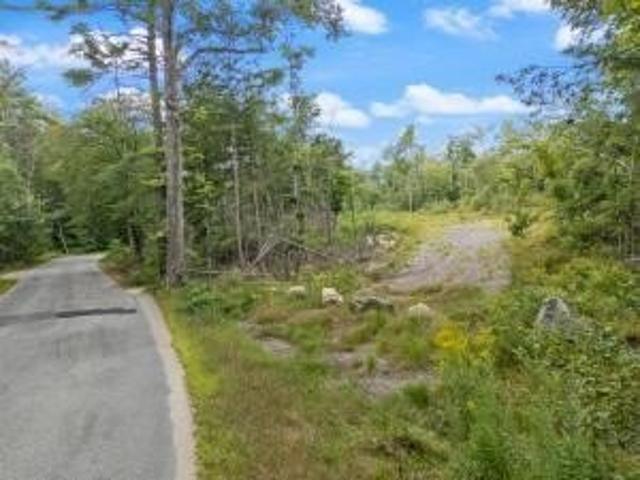 Map Lot Sanborn Rd Lot,newfield, Plot For Sale
