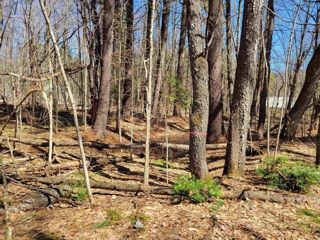 Map Lost River Rd Lot,woodstock, Plot For Sale