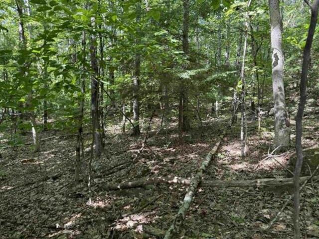 Map New Hampshire Dr Lots, Webster, Plot For Sale