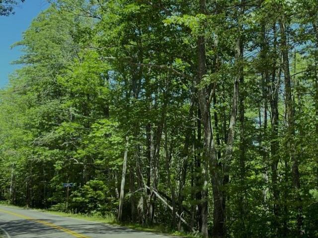 Map Punk Point Rd Lot A, Jefferson, Plot For Sale