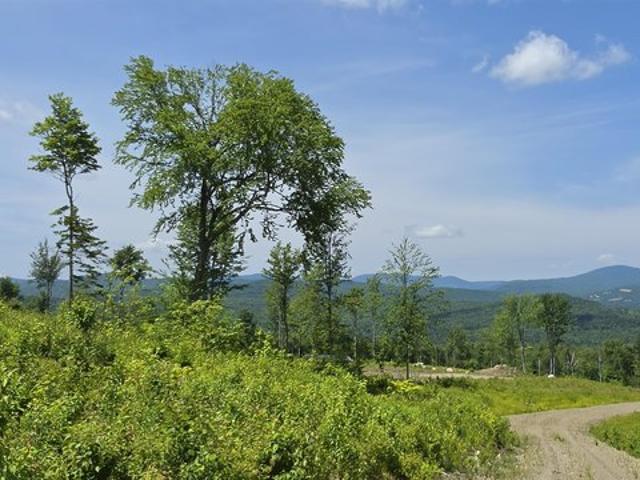 Map R6 Deer Crossing Way Lot 1C, Errol, NH 03579