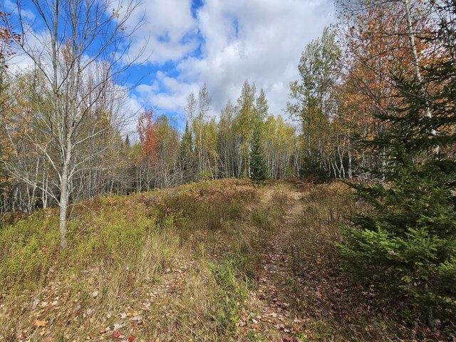 Map R Lot,mariaville, Plot For Sale