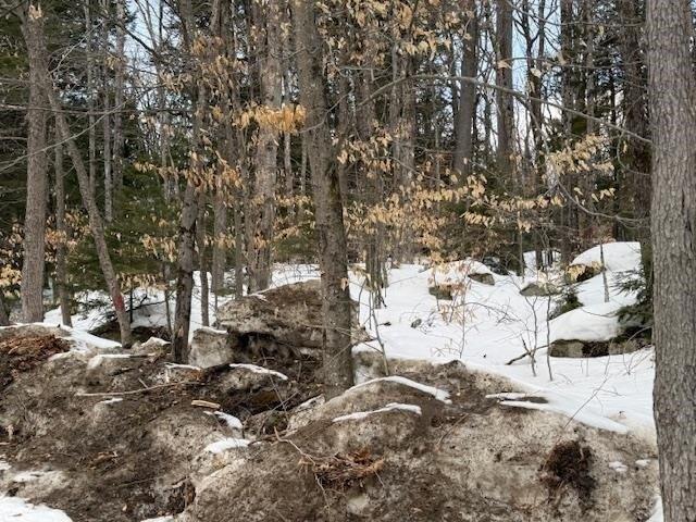 Map Route Lot,albany, Plot For Sale