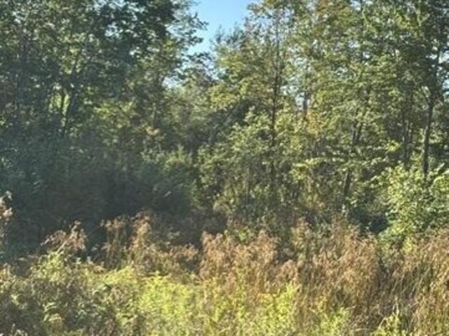 Map Weeman Rd Lot,detroit, Plot For Sale