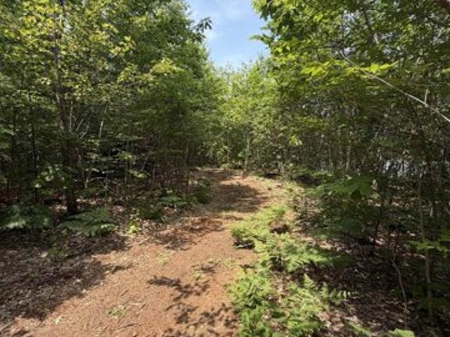 Map Whittier Rd Lot,tamworth, Plot For Sale