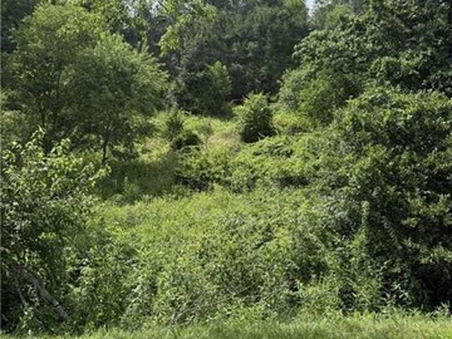 Maple Tree Way, Piney Creek, NC 28633