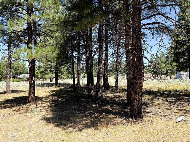Maple Way, CA 96130