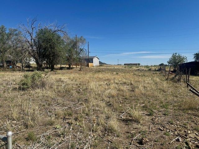 Maple, Aguilar, CO 81020