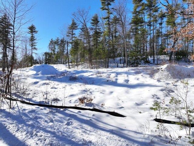 Maple Ave Lot,groton, Plot For Sale