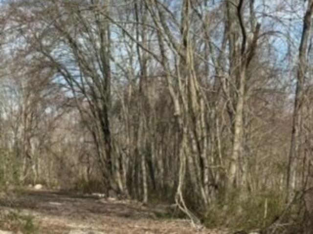 Maple Ave, Montville, Plot For Sale
