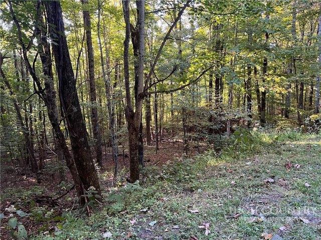 Maple Branch Rd, West Jefferson, NC 28694