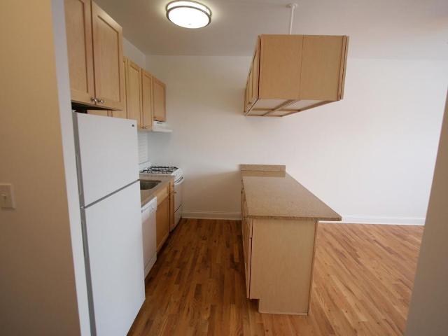 Maple Court 1 Bedroom Apartment for Rent at 1120 E 47th St, Chicago, IL 60653 Kenwood