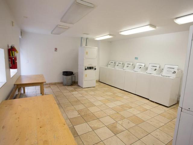 Maple Court 1 Bedroom Apartment for Rent at 1120 E 47th St, Chicago, IL 60653 Kenwood