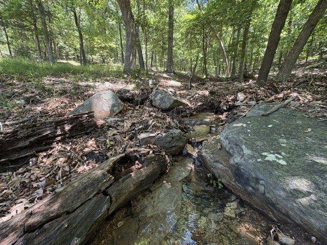Maple Dr Lot 23 25, Garfield, AR 72732