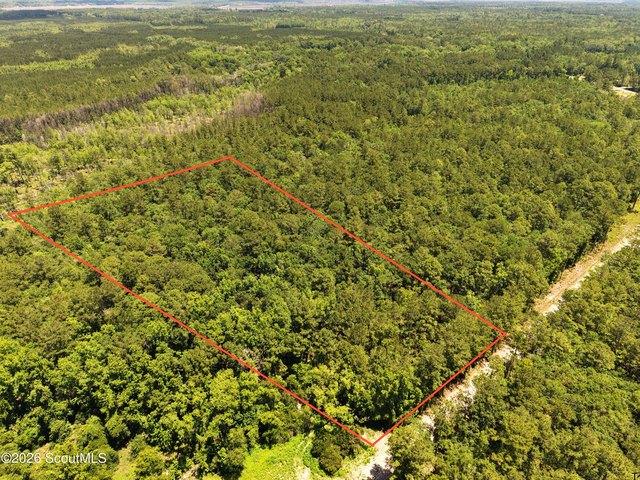 Maple Ford Rd, Waverly, GA 31565