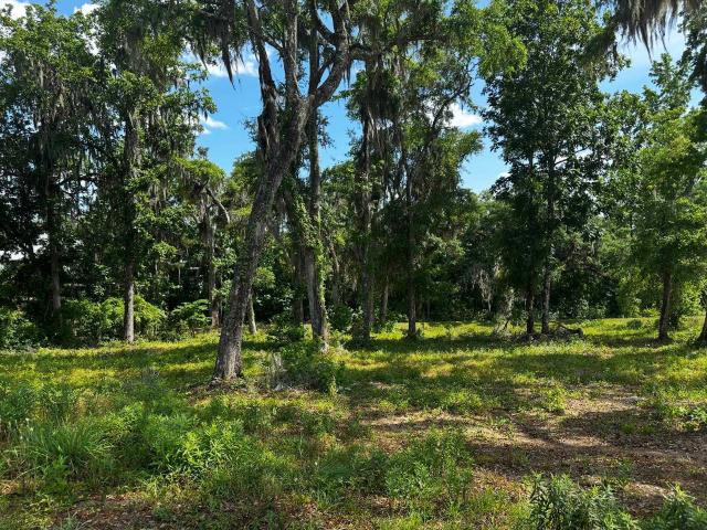 Maple Leaf Way, Tallahassee, FL 32311 | MLS #382936 | Compass