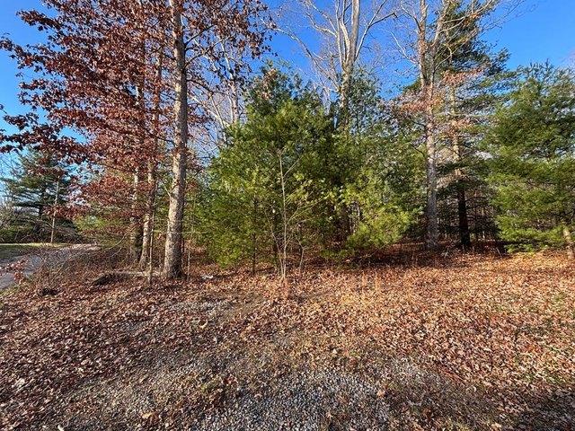 Maple Rd, Beckley, WV 25801