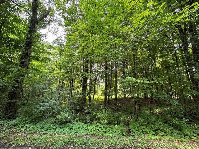 Maple Rd, Linesville, PA 16424