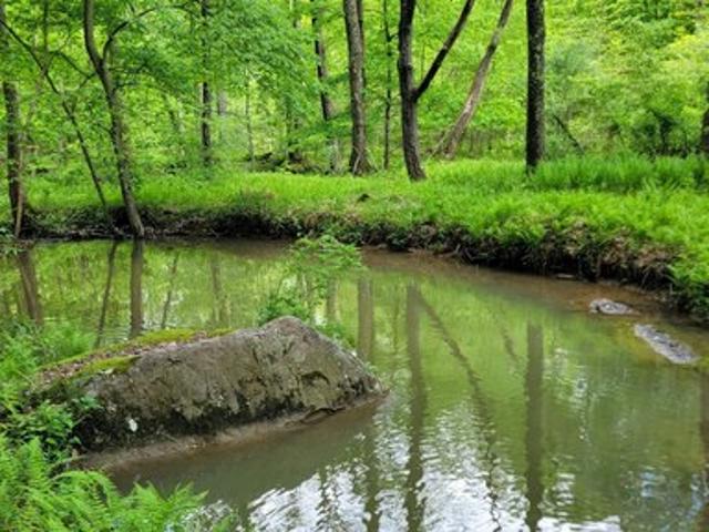 Maple Run, Fairmont, WV 26554