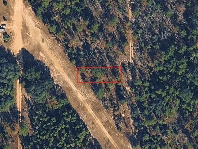 Maple St, Interlachen, FL 32148